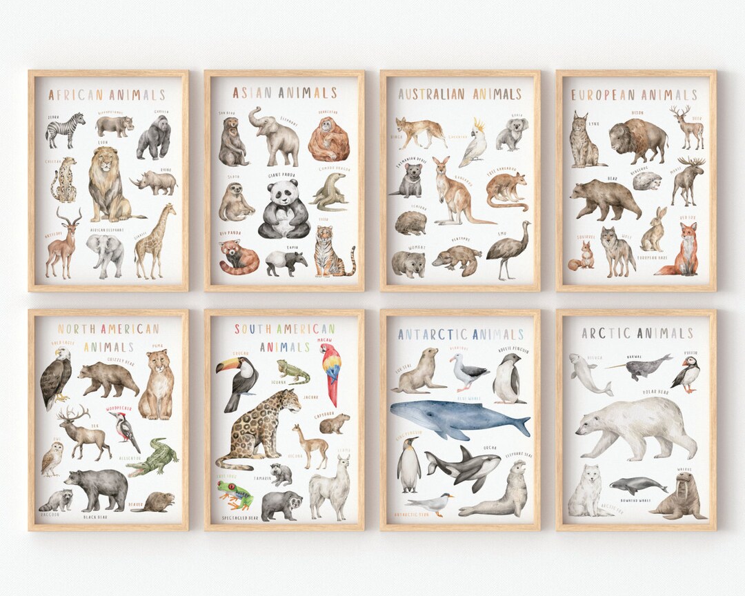 Set of 8 Educational Posters | Wild Animals Posters | Classroom Decor ...