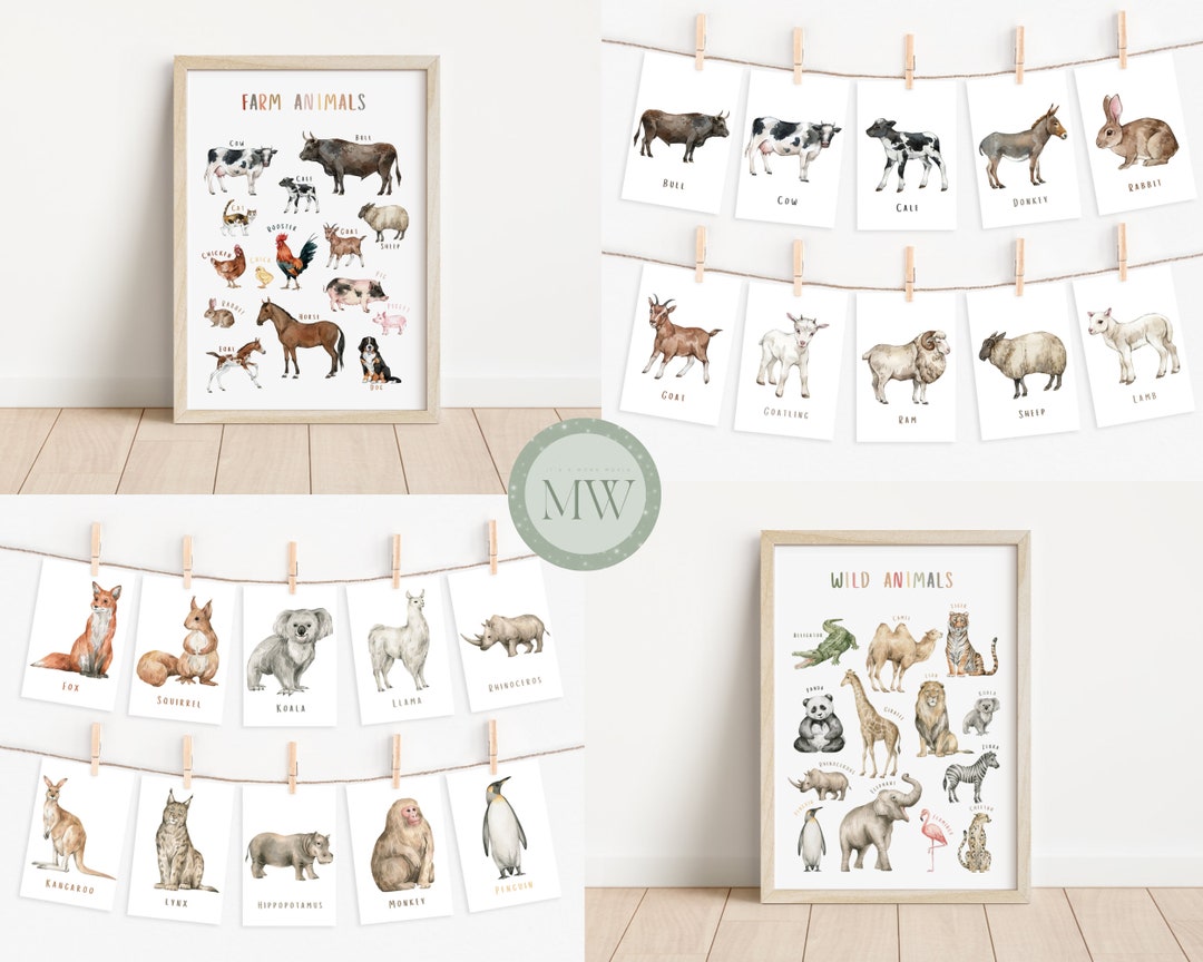 Animal Flashcards | Wild Animals Poster | Domestic Animals Poster ...