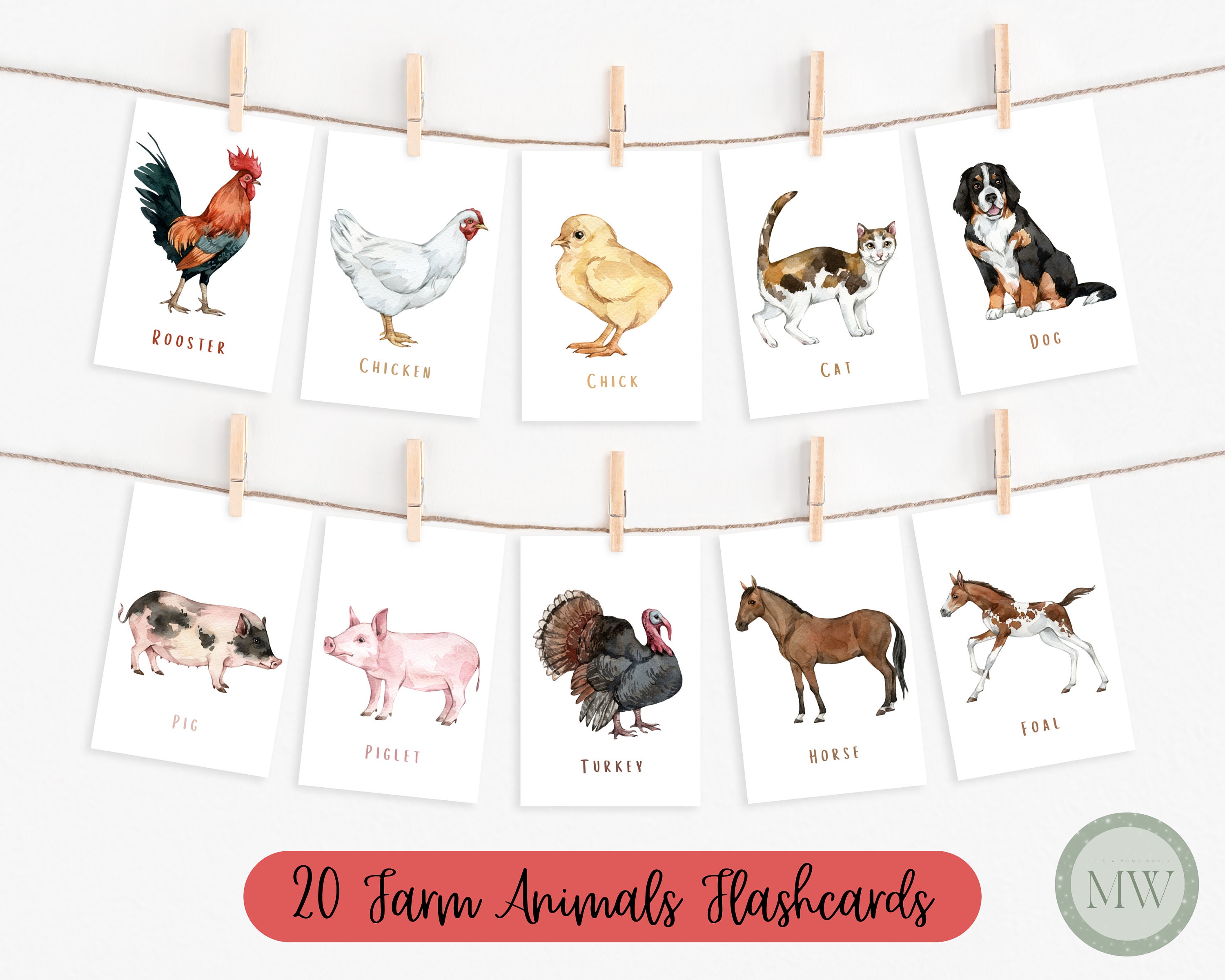Animal Flashcards Wild Animals Poster Domestic Animals - Etsy