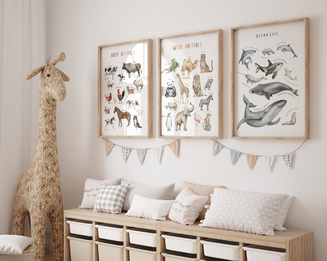 Set of 3 Educational Posters | Animal Posters | Classroom Decor ...