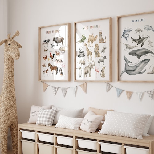 Set of 3 Educational Posters Animal Posters Classroom - Etsy