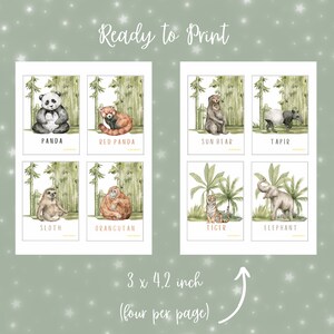 Printable Animal Flashcards | Asian Animal Flashcards | Kids Flashcards ...