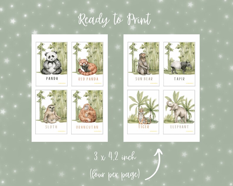 Printable Animal Flashcards Asian Animal Flashcards Kids - Etsy