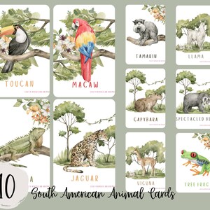 Printable Animal Flashcards | Wild Animals Flashcards | Kids Flashcards ...