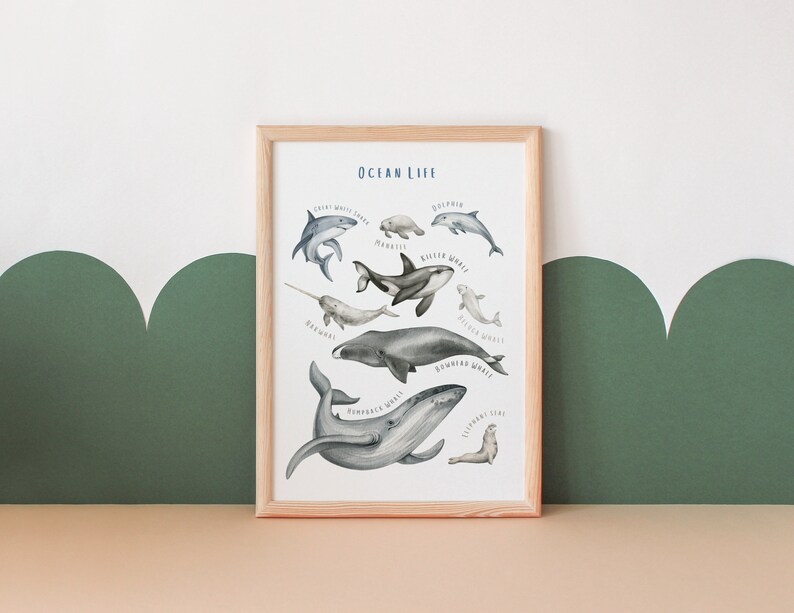 Set of 3 Educational Posters Animal Posters Classroom - Etsy