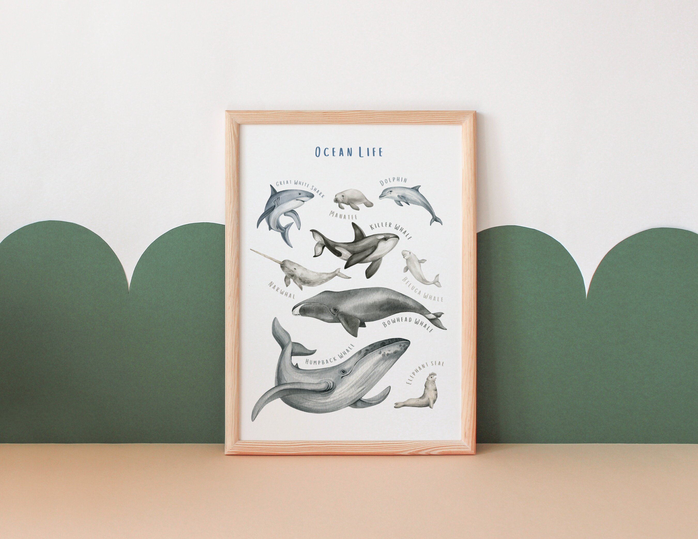 Set of 3 Educational Posters Animal Posters Classroom - Etsy UK