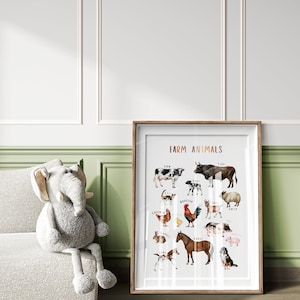 Set of 3 Educational Posters | Animal Posters | Classroom Decor ...