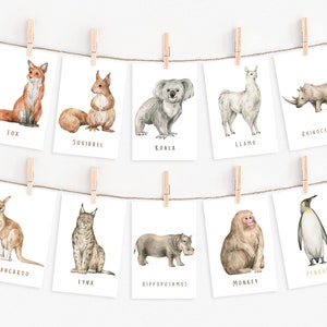 92 Printable Flashcards | Animal Flashcards | Farm Animal Flashcards ...