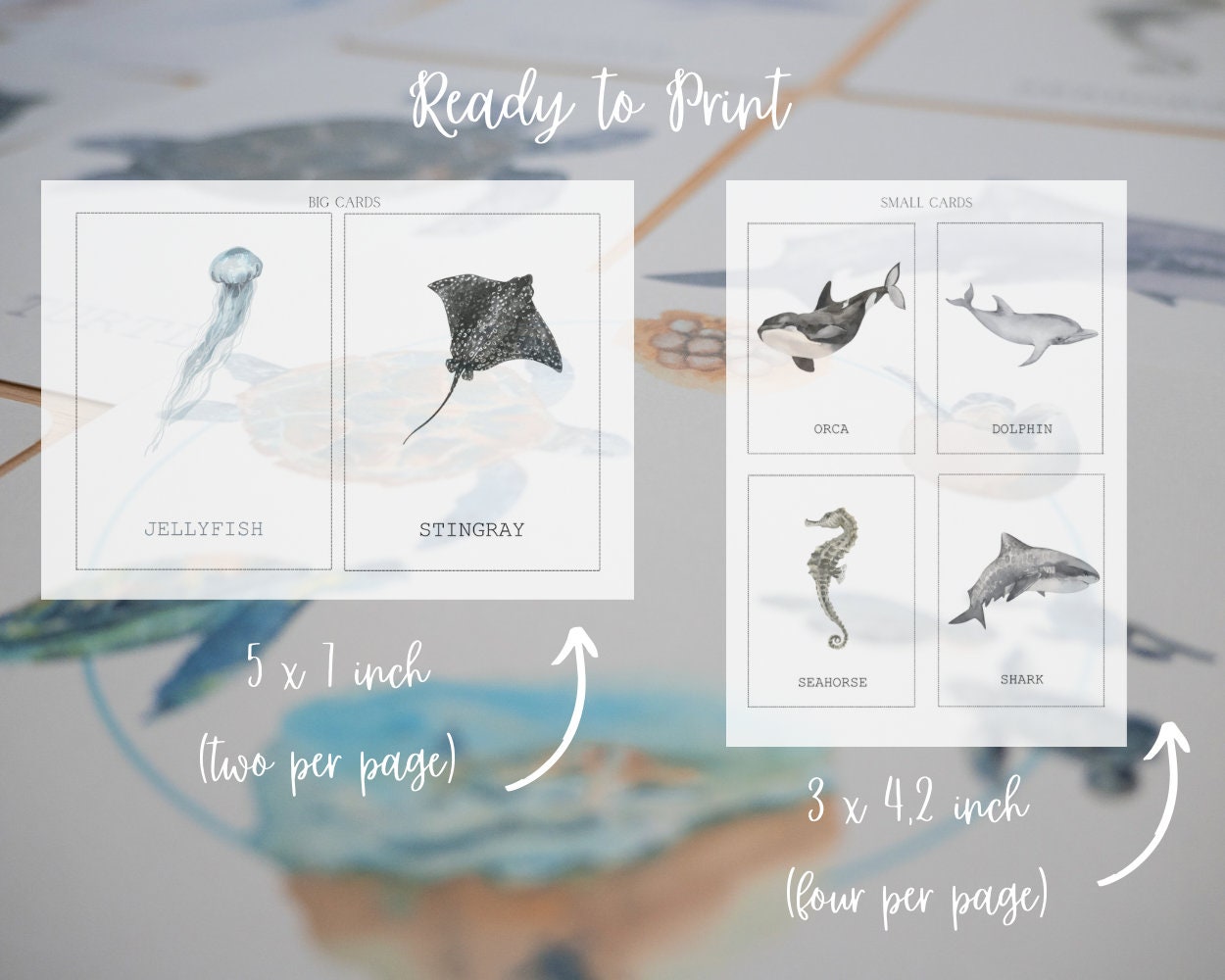 Summer Flashcards Sea Animals Flashcards Summer Printable Activity ...