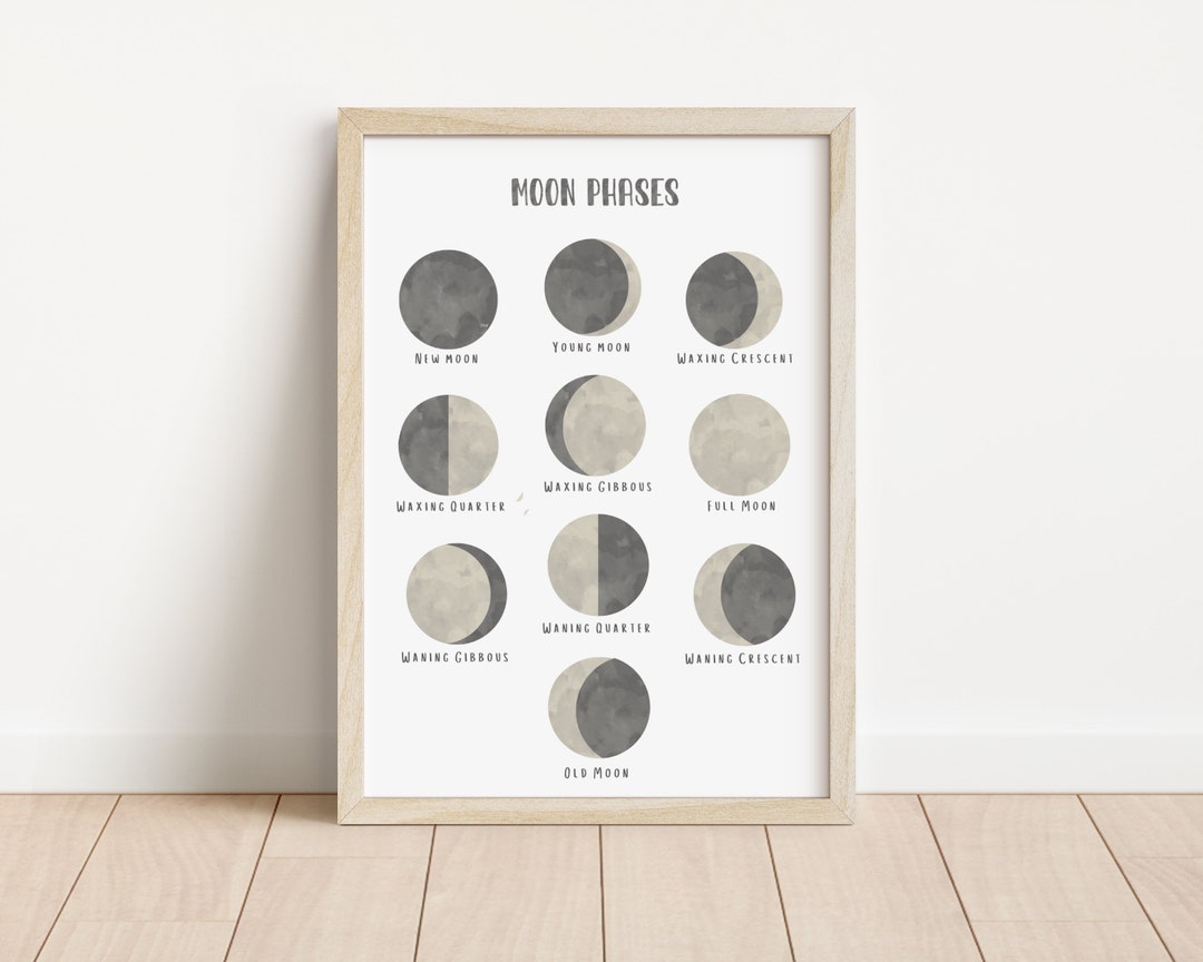 Moon Phases Poster | Educational Poster | Space Poster | Neutral ...