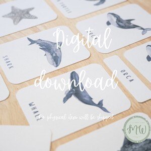 10 Montessori Sea Animals Flashcards for Kids | Educational Digital ...