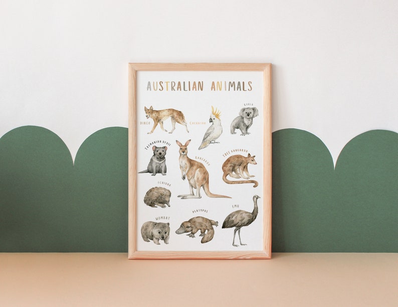 Set of 8 Educational Posters | Wild Animals Posters | Classroom Decor ...