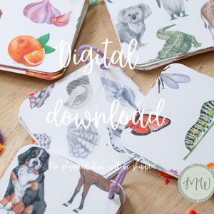 80 Printable Flashcards | Animal Flashcards | Fruit and Vegetables ...