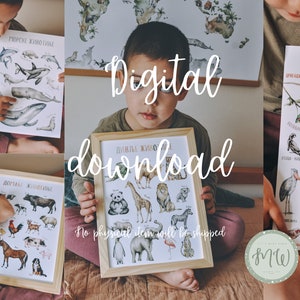 Set of 8 Educational Posters | Wild Animals Posters | Classroom Decor ...