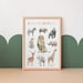 Set of 8 Educational Posters | Wild Animals Posters | Classroom Decor ...