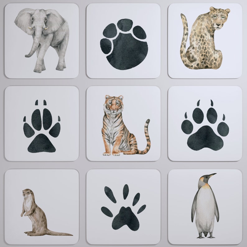 56 Printable Animal Flashcards Animals and Animal Tracks Matching Cards ...