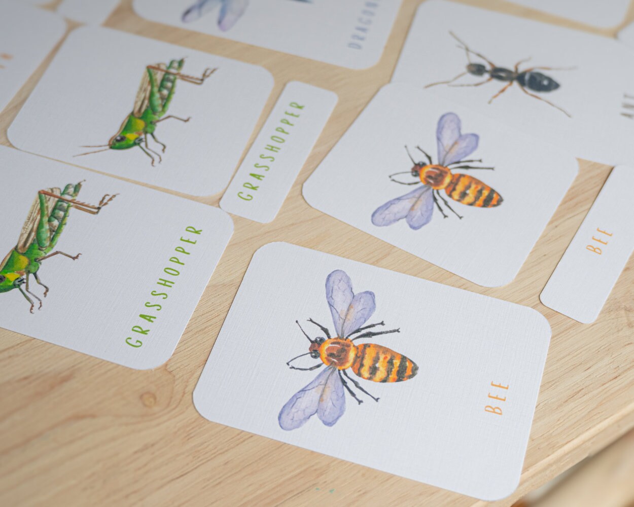 10 Montessori Insects Flashcards for Kids Montessori 3-part-cards ...
