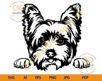 Yorkshire Terrier SVG Yorkie Face Clipart Dog Svg Cricut Peeking Yorkie ...