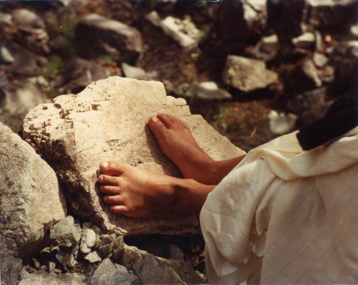 Mah Avatar Babaji, Sanatana Dharma, Maha Shivaratri, Yoga, Meditation ...