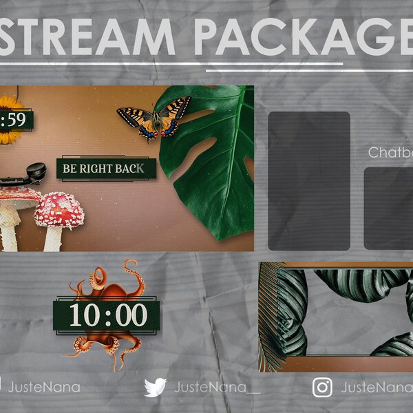 Psychedelic Twitch Overlay - Etsy