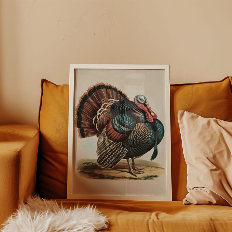 Turkey Wall Art - Etsy
