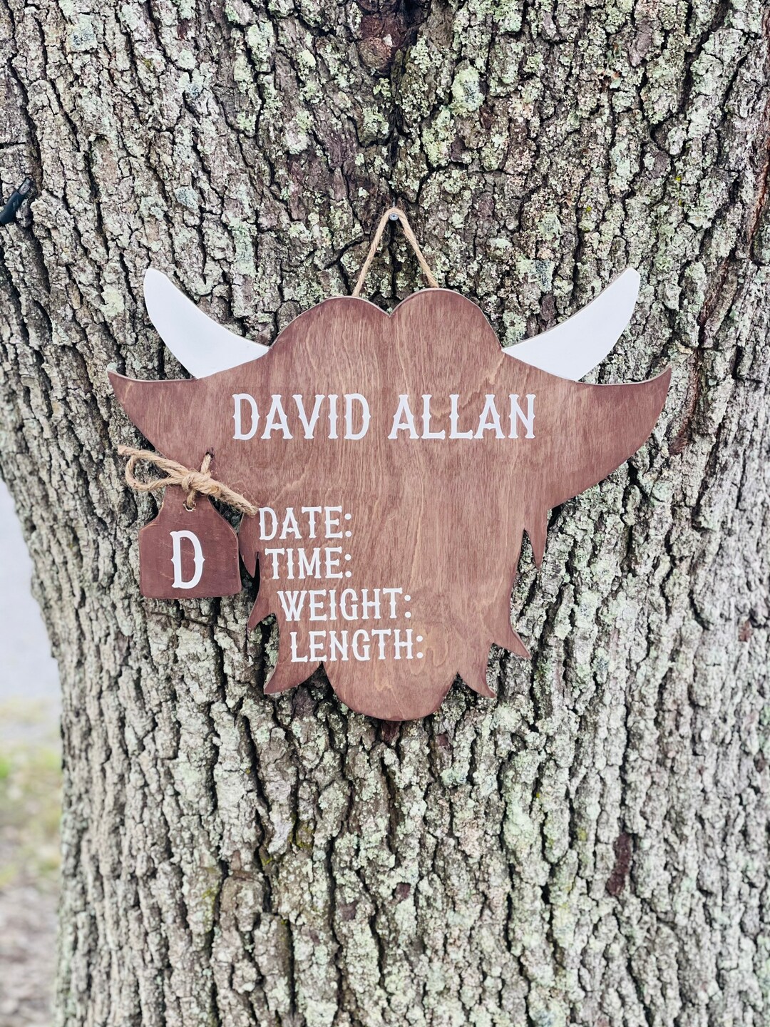 Highland Cow Wooden Birth Announcement Hospital Door Sign - Etsy