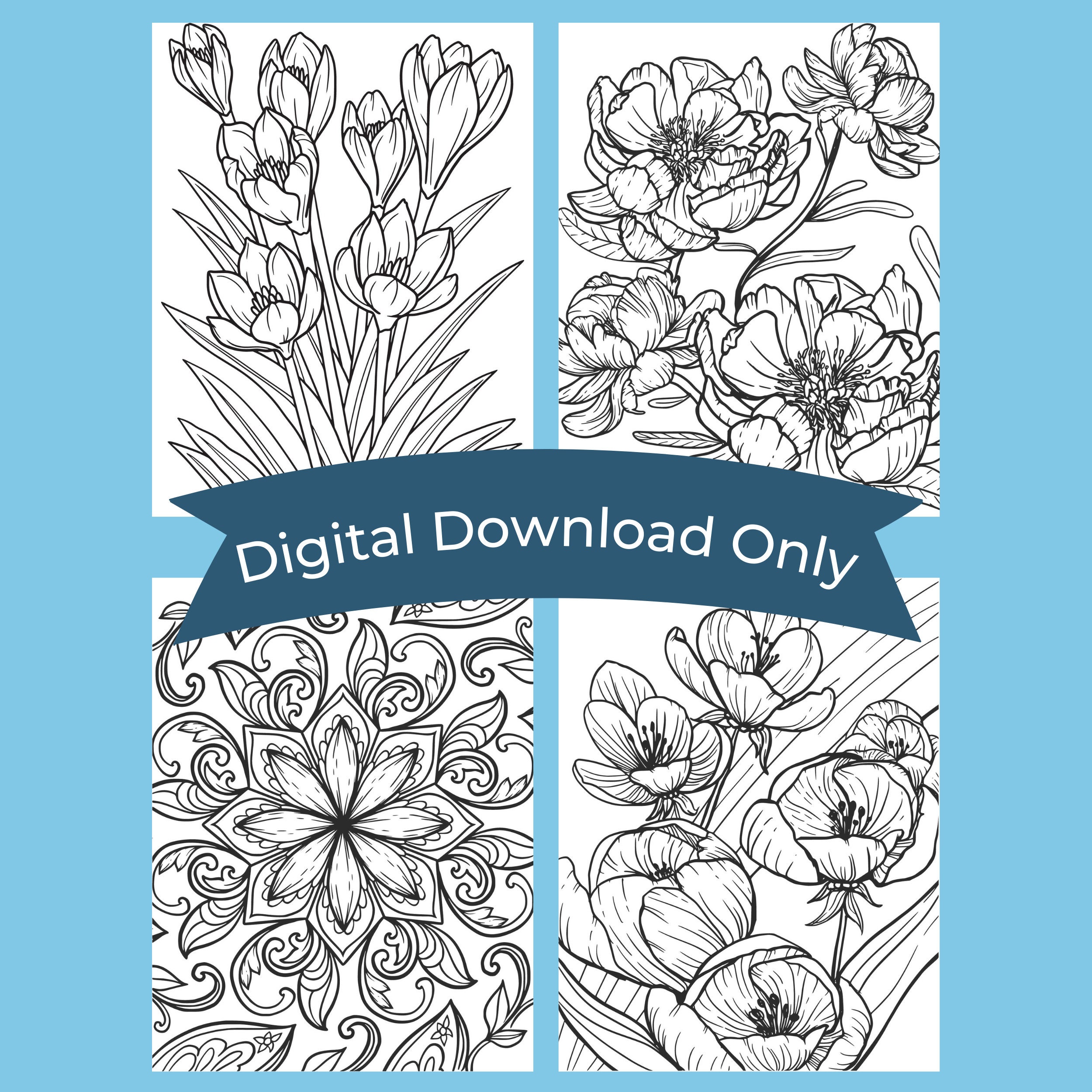 20 Beautiful Floral Coloring Pages for Adults and Kids Alike! Printable ...