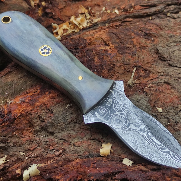 Shucking Knife - Etsy