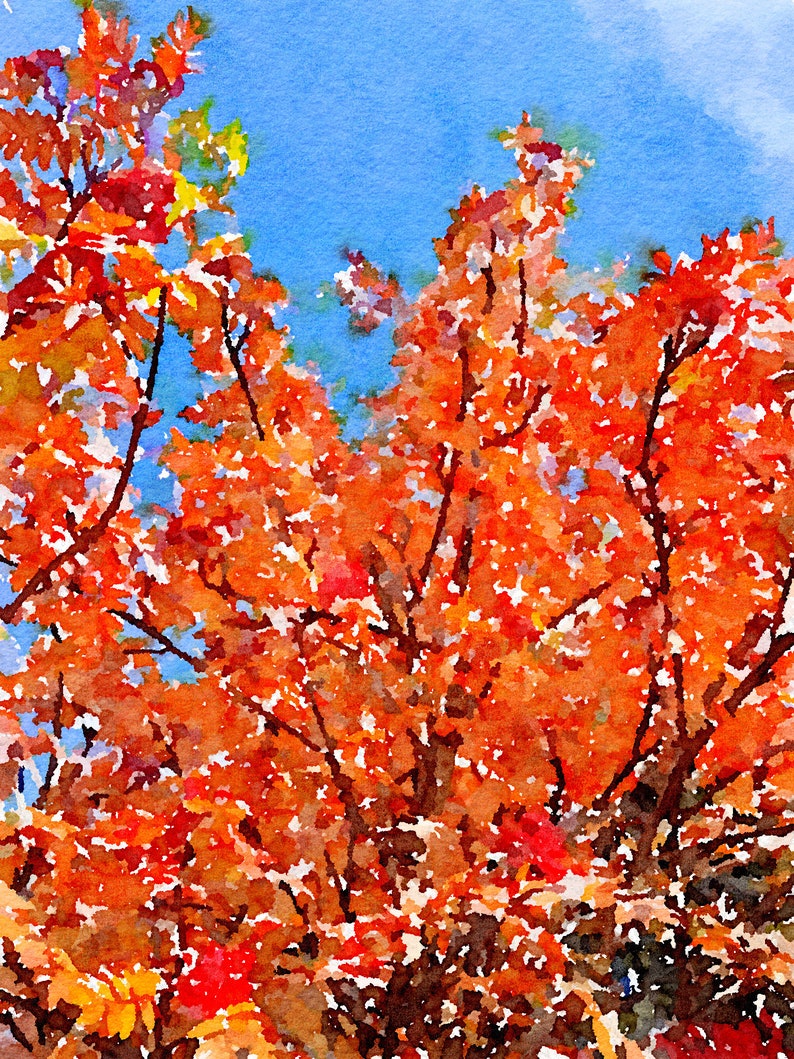 Fall Tree Art Print Digital Download - Etsy