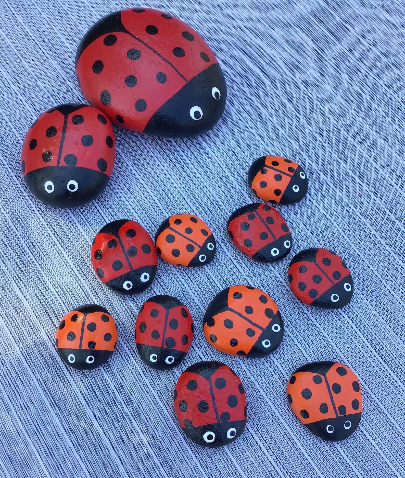 Ladybug Hand Painted Rocks Set of 10 Orange and Red Ladybug Rocks ...