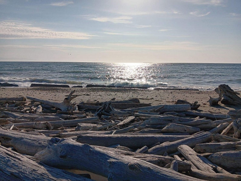 Ladybug PNW Rocks | Set of 10 | Genuine Beach Rocks | Hand Painted Teal ...
