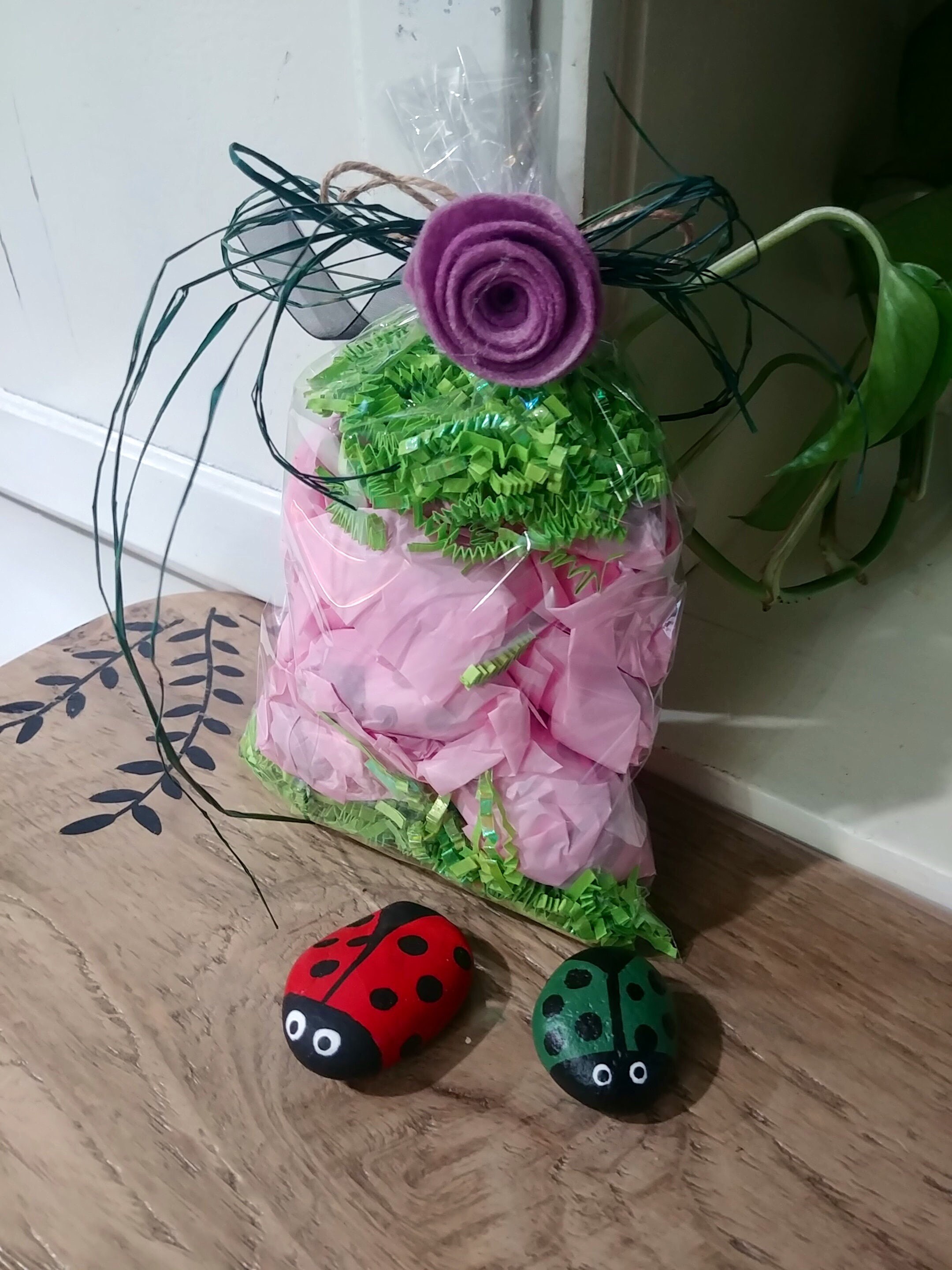 Set of 12 Summer Colors Ladybug Rocks Hand Painted Ladybugs PNW Rocks ...