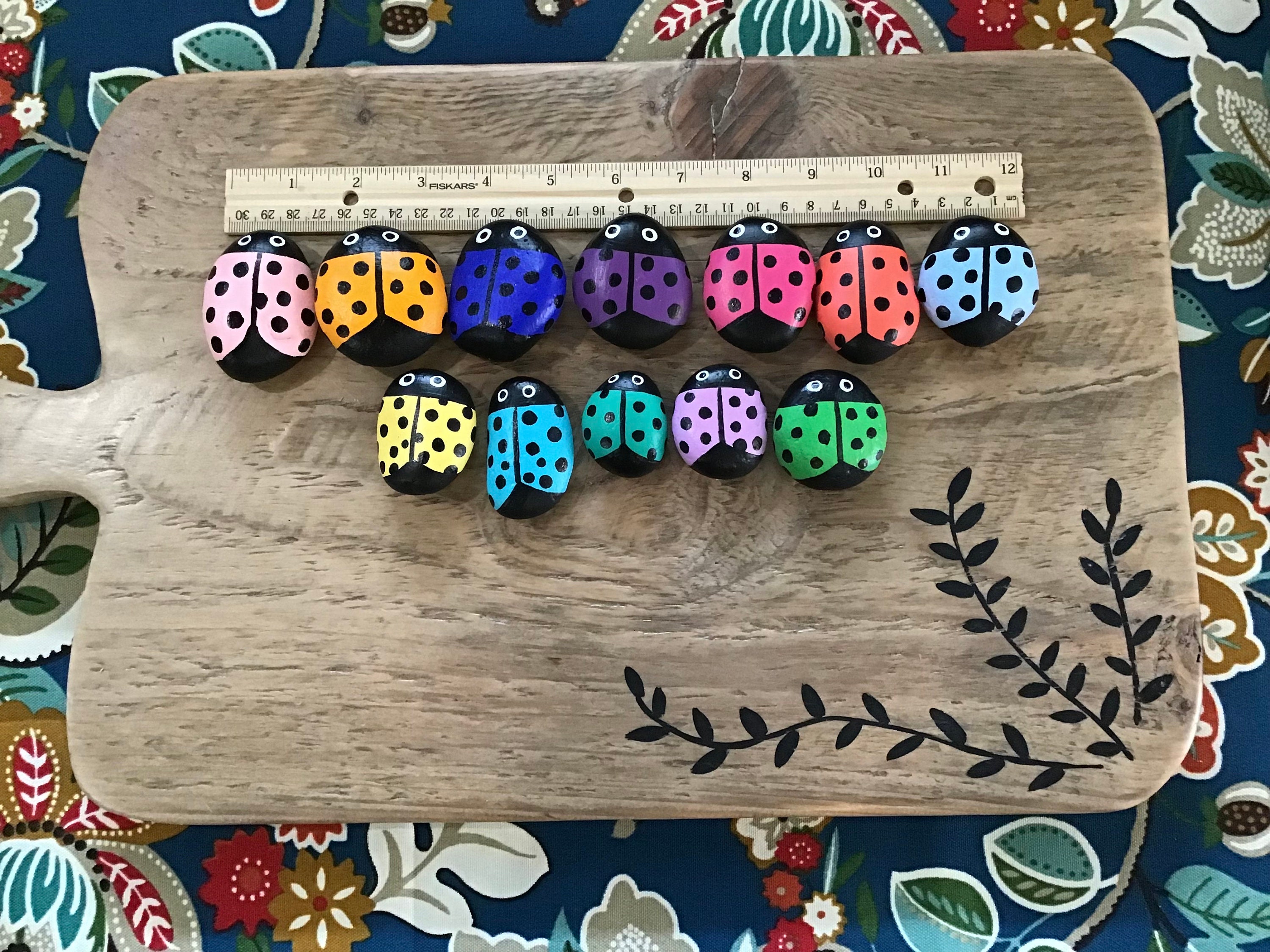 Set of 12 | Summer Colors Ladybug Rocks | Hand Painted Ladybugs | PNW ...