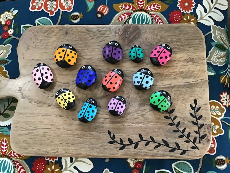 Set of 12 | Summer Colors Ladybug Rocks | Hand Painted Ladybugs | PNW ...
