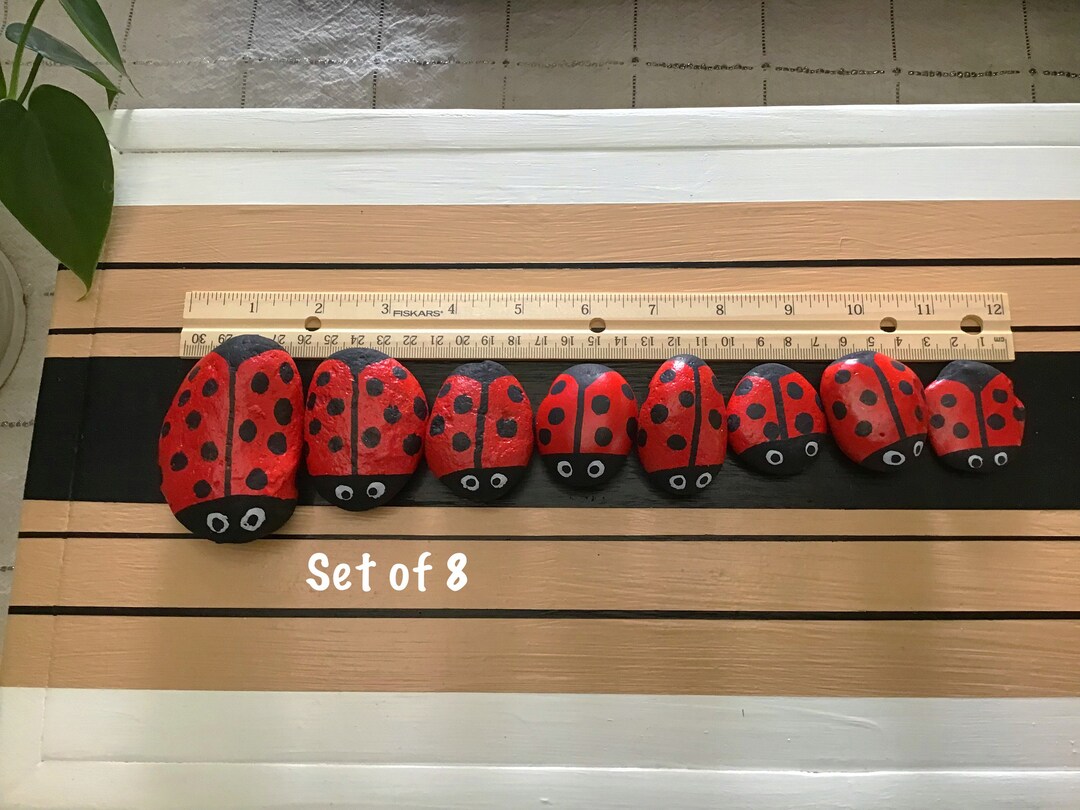 Ladybug Rocks, Set of 8, Hand Painted, PNW Rocks, Red and Black Classic ...