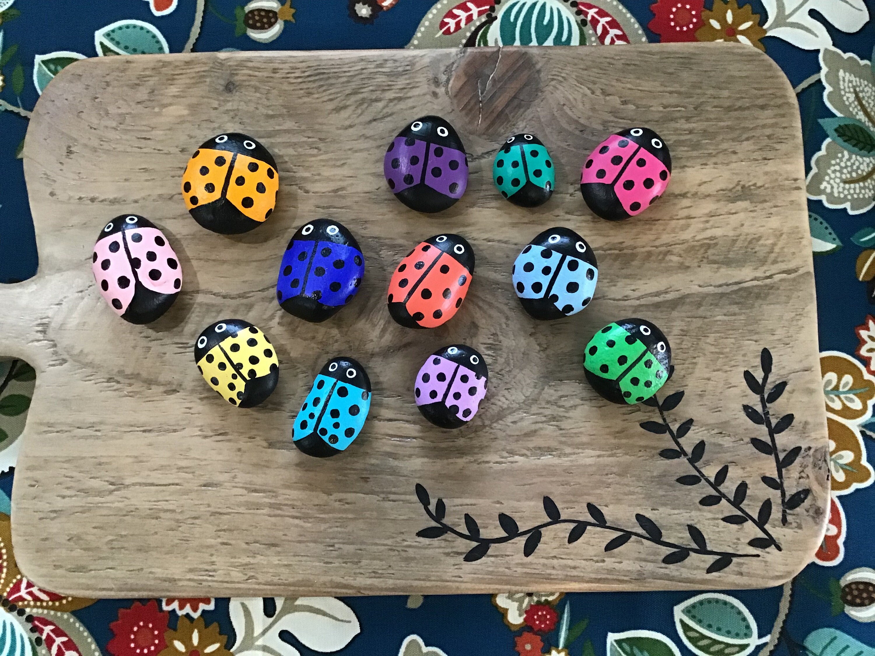 Set of 12 Summer Colors Ladybug Rocks Hand Painted Ladybugs PNW Rocks ...