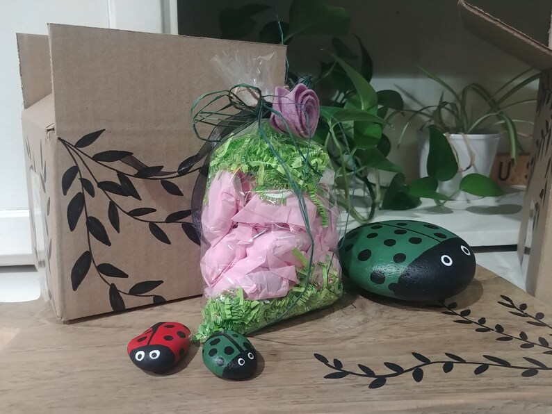 Ladybug Rocks Beach Rocks Hand Painted Ladybugs Ladybug Gift Set of 10 ...