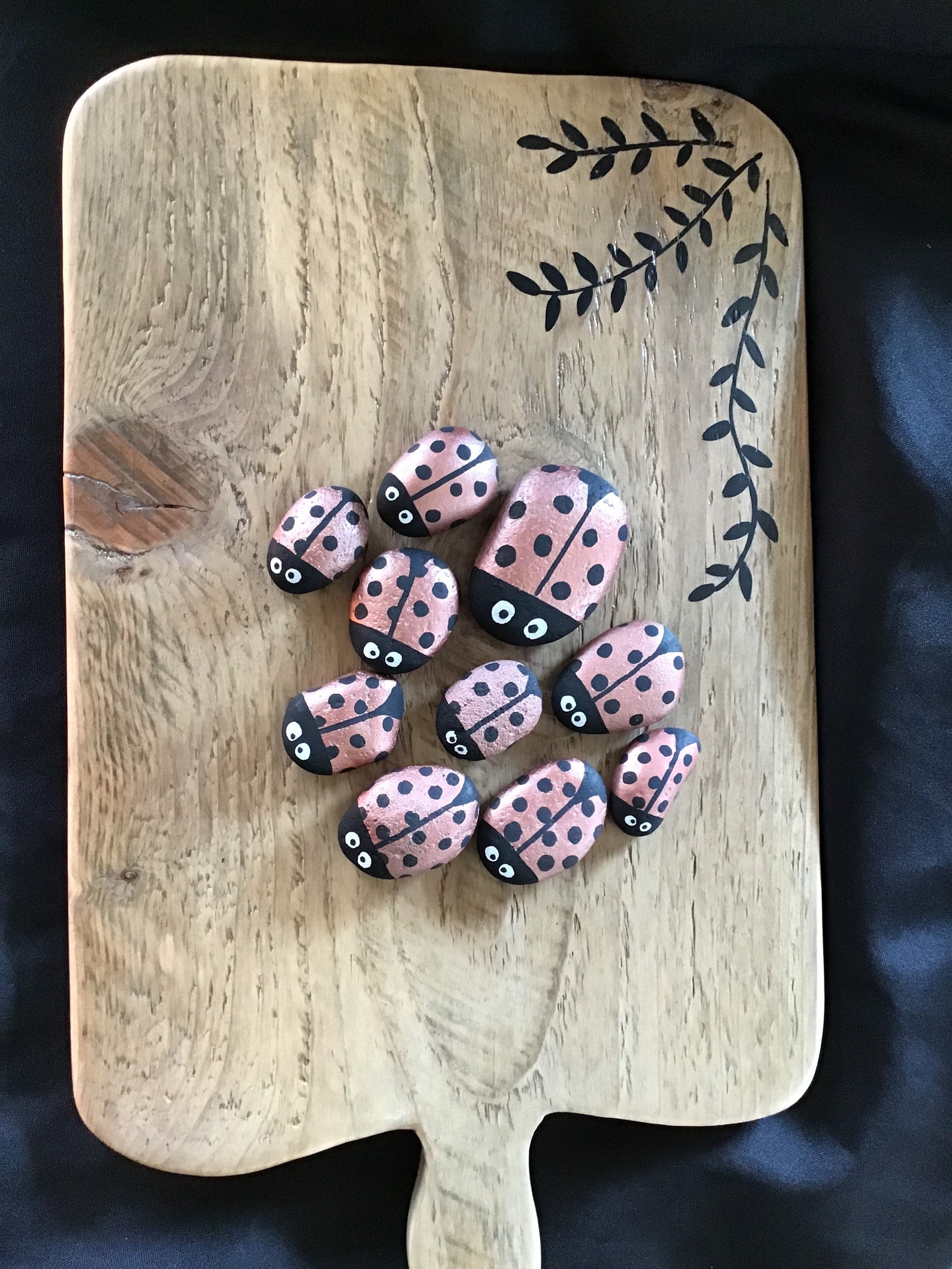 Ladybug Rocks Beach Rocks Hand Painted Ladybugs Ladybug Gift Set of 10 ...