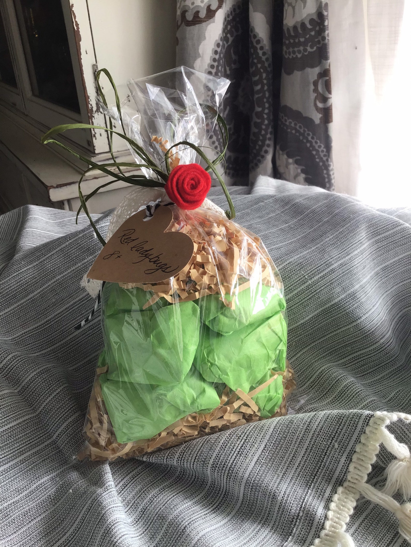 Ladybug Rocks Beach Rocks Hand Painted Ladybugs Ladybug Gift Set of 10 ...