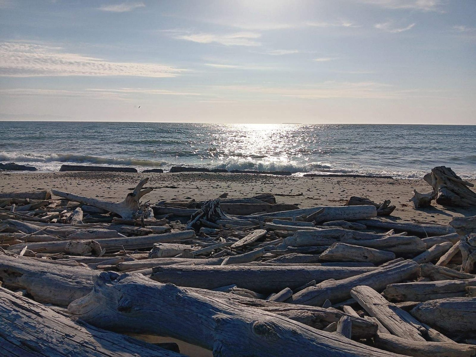Ladybug Hand Painted Rocks | Set of 10 | Orange and Red Ladybug Rocks ...