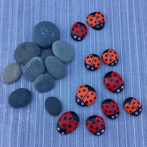 Ladybug Hand Painted Rocks | Set of 10 | Orange and Red Ladybug Rocks ...