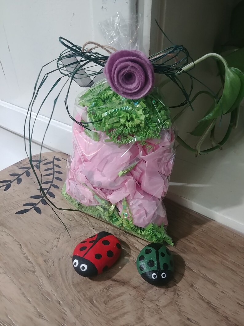 Ladybug Rocks Beach Rocks Hand Painted Ladybugs Ladybug Gift Set of 10 ...