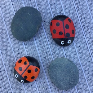 Ladybug Hand Painted Rocks | Set of 10 | Orange and Red Ladybug Rocks ...