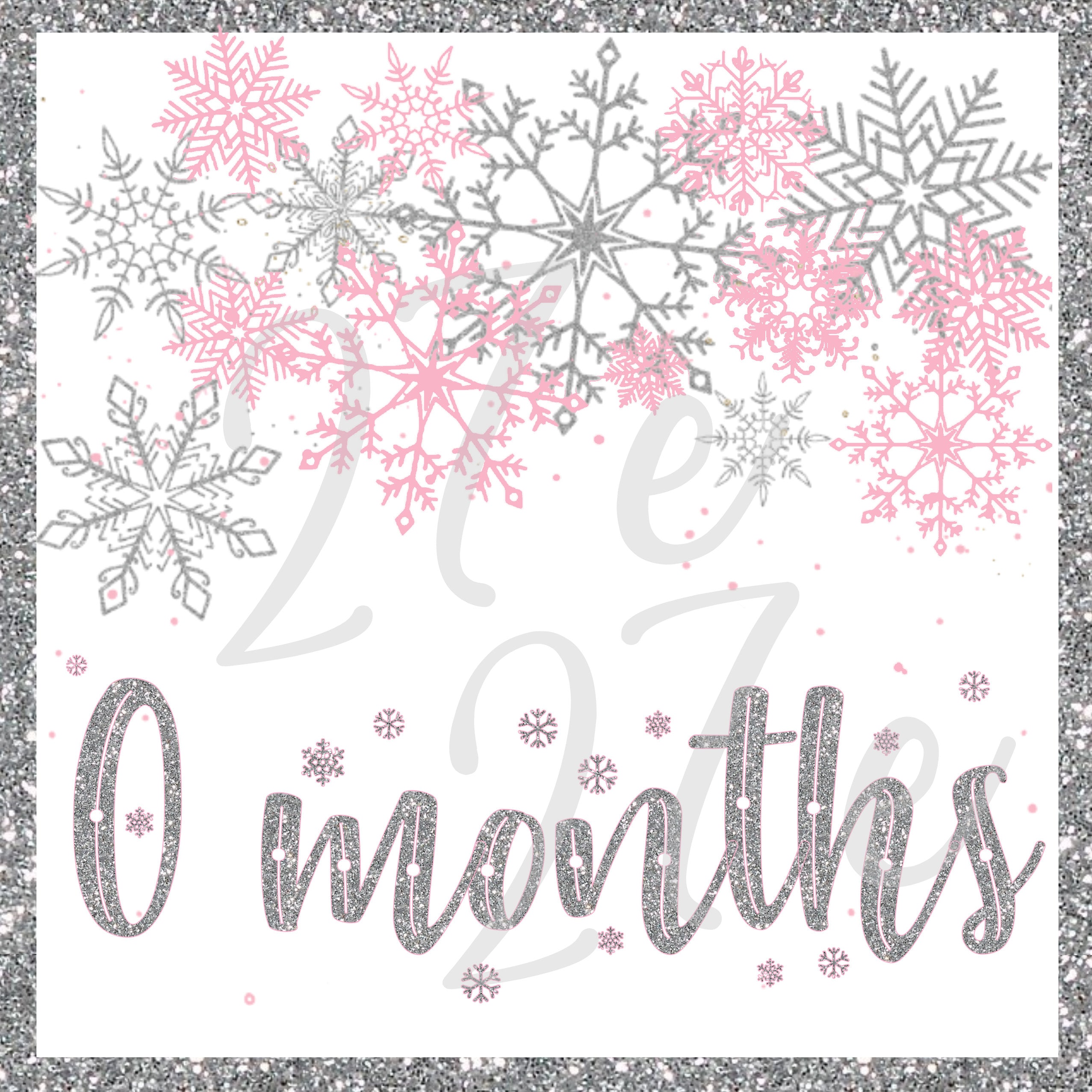 Snow Much Fun Baby 1st Birthday Party Monthly Milestone Snowflake Signs ...