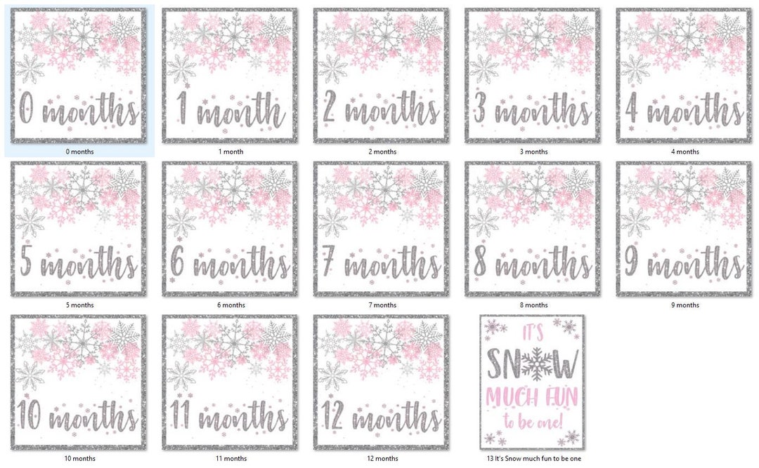 Snow Much Fun Baby's 1st Birthday Monthly Milestone Birthday Signs ...