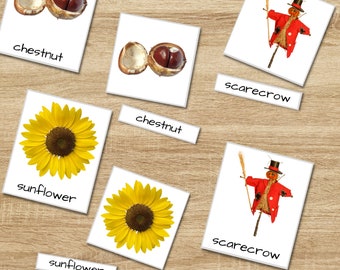 Autumn 3 Part Cards - Etsy