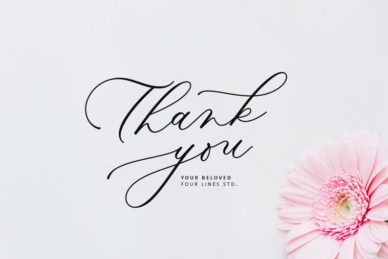 Romantic Font, Calligraphy Font, Modern Calligraphy, Hand Lettering ...