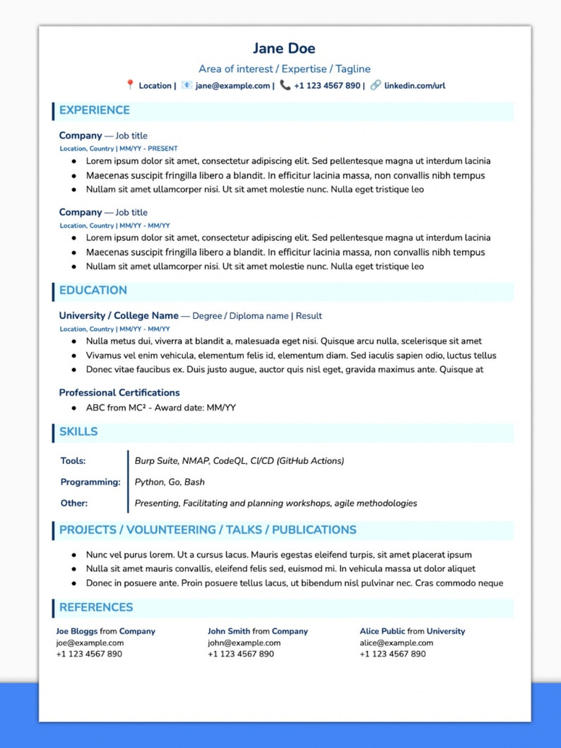 CV / Resume Template With Cybersecurity Infosec and Appsec - Etsy