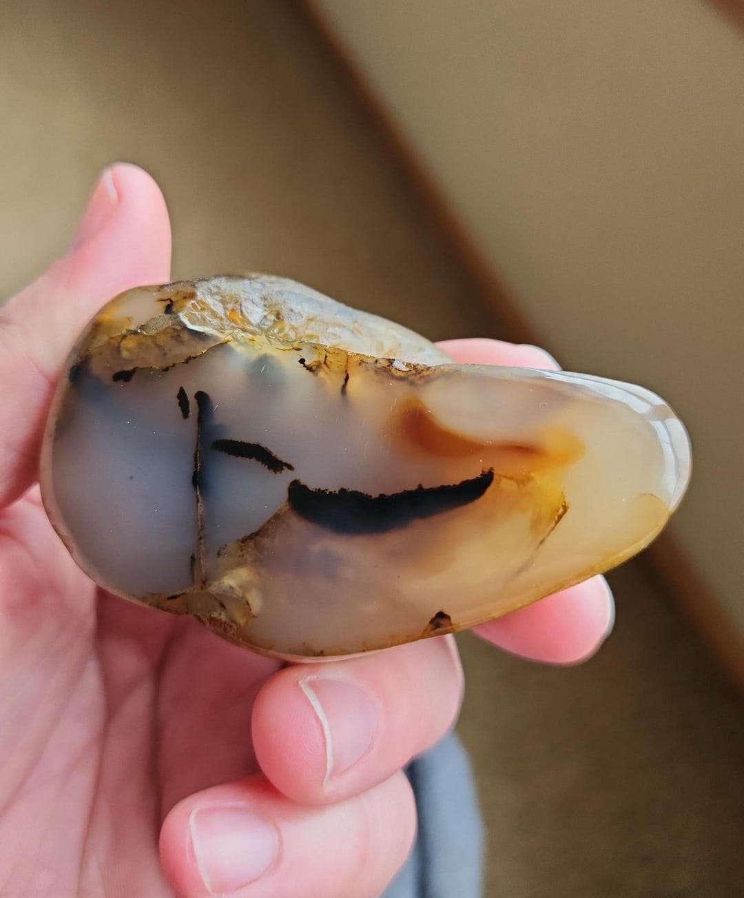 Montana Moss Agate Face Polished - Etsy