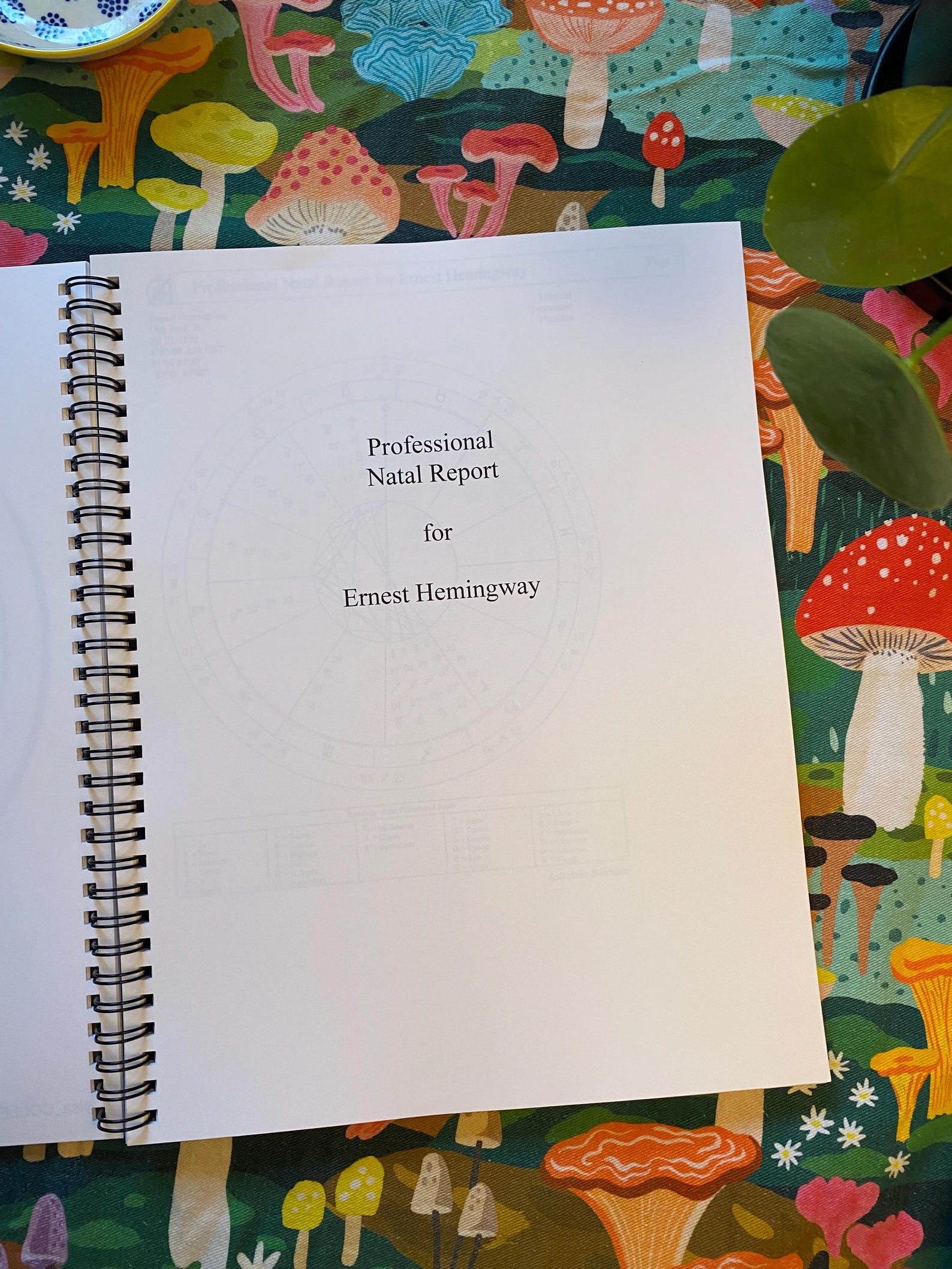 Personalized Astrology Birth Chart Book | Custom Natal Report, Journal ...